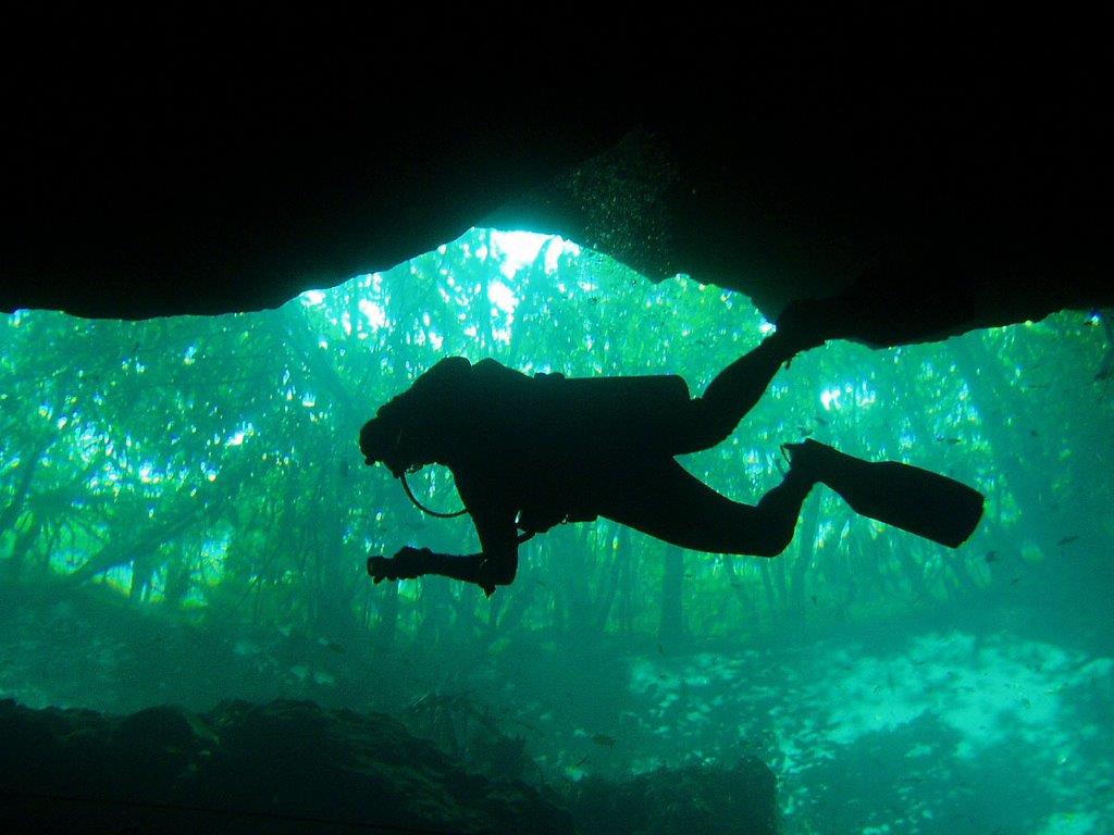 Scuba Diving in the Cenotes of the Yucatan – Peachin Adventure